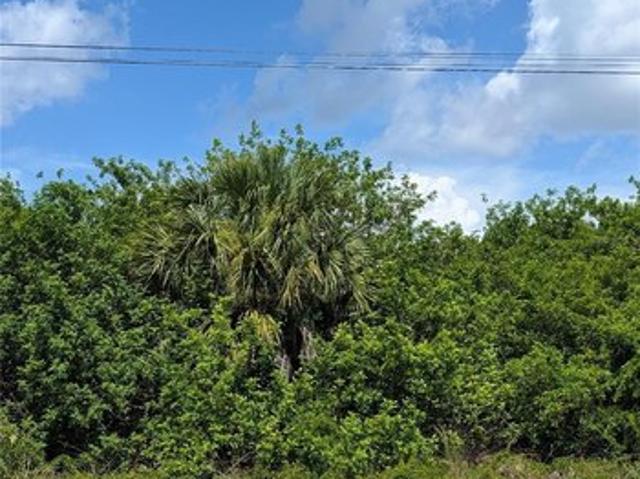 9309 Galaxie Cir, Port Charlotte, FL 33981