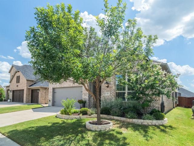 9309 Lemon Drive