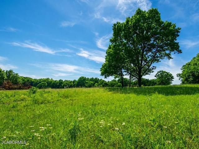 9300 Stiefferman Ln Lot B, Centertown, MO 65023