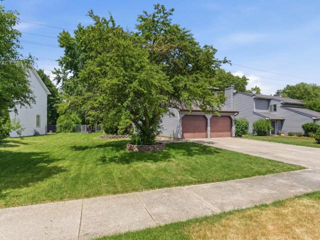 930 autumn lane