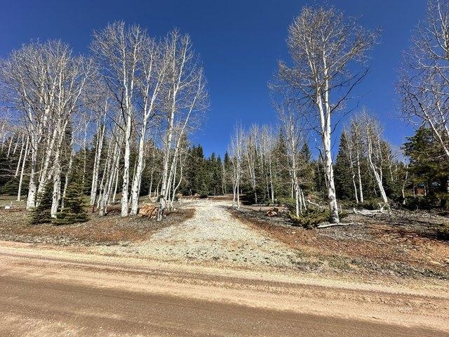 930 W Strawberry Point Rd, Duck Creek Village, UT 84762