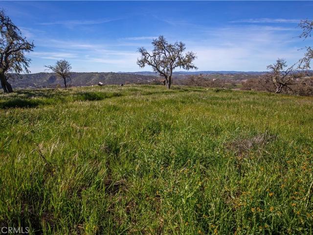 930 Windwood Rd, Paso Robles, CA 93446 | MLS #NS25081