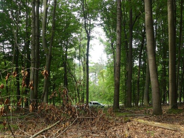 9310 S Benjamin Dr, Newaygo, MI 49337