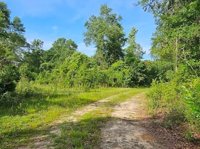 931 County Road 216
