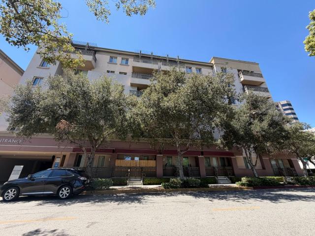 931 Walnut
