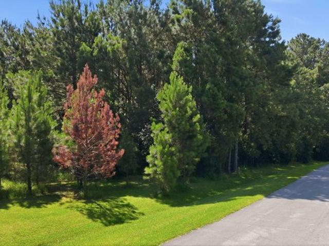 9325 Doris Dr Lot 9, Oriental, NC 28571