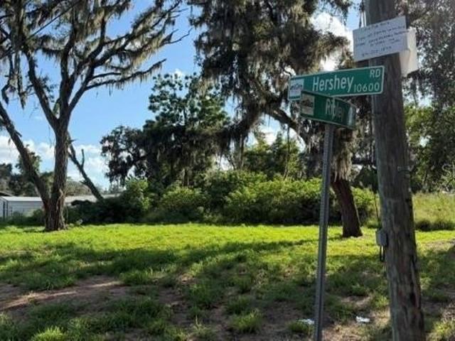 9323 Ripley Rd Unit B, Thonotosassa, FL 33592