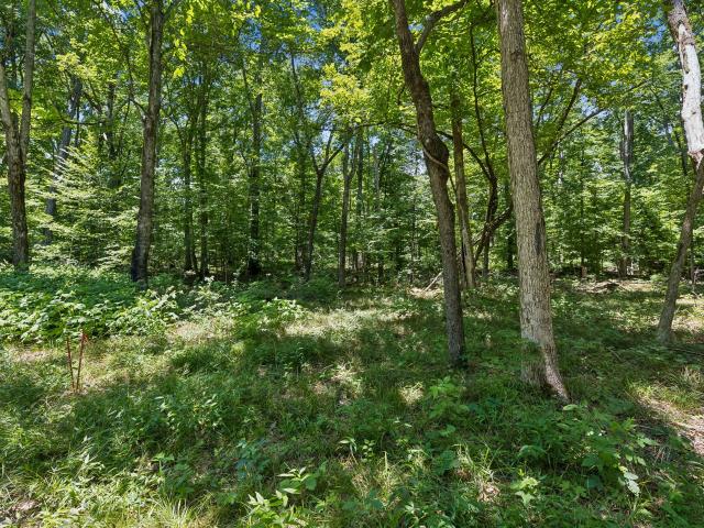 9346 Christiana Fosterville Rd