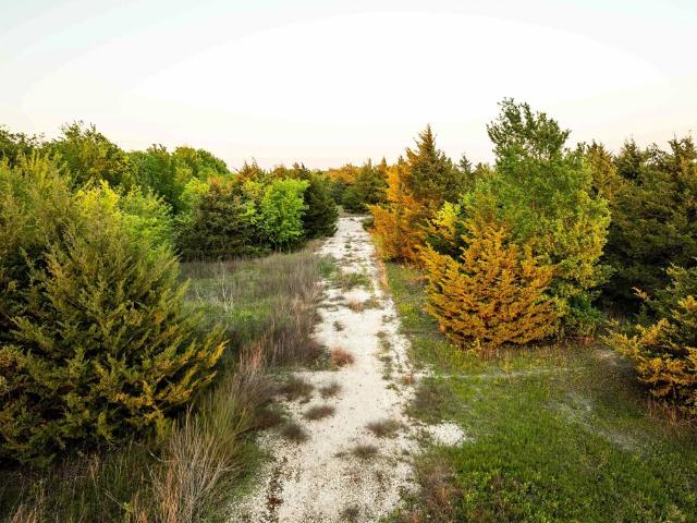 934 Everheart Rd, Bells, TX 75414 | MLS #21164