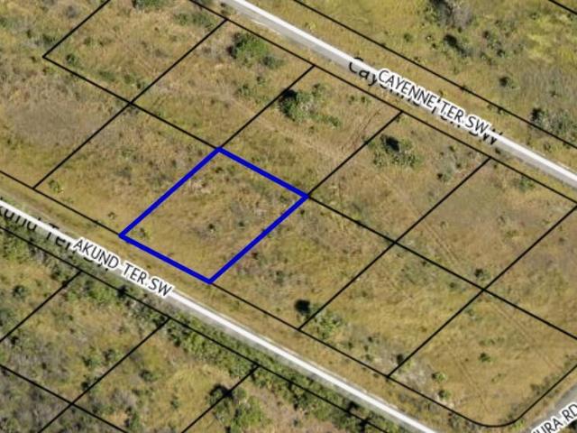 935 Akund Ter SW, Palm Bay, FL 32908 | MLS #1068