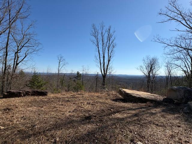 935 Bluff Ledge Trail