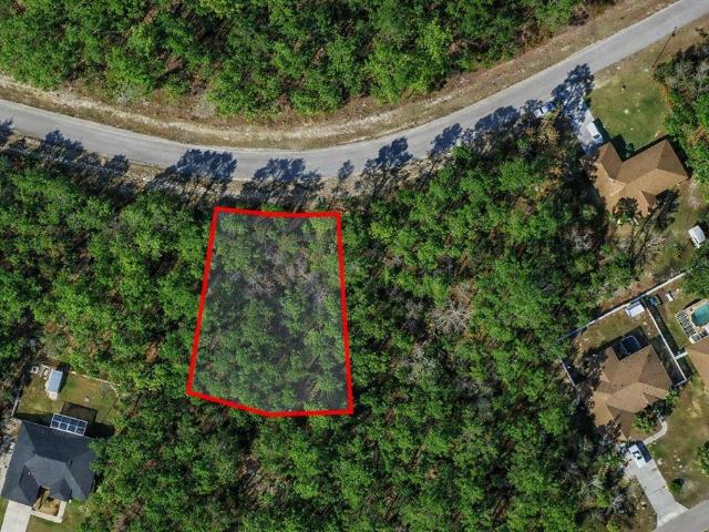 9367 N Fairy Lilly Dr, Citrus Springs, FL 34433 | MLS #O6384