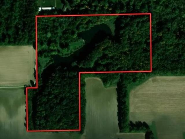 9368 Rhea Park Rd, Loami, IL 62661