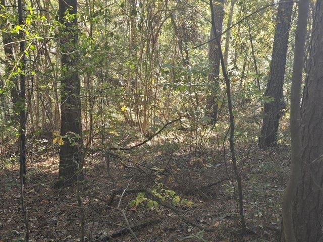 937 Bennock Mill Rd, Augusta, GA 30906
