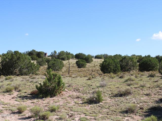 9380 Latigo Rd, Williams, AZ 86046 | MLS #203930 | Compass