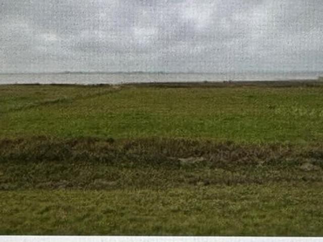 938 Porpoise Dr, Palacios, TX 77465