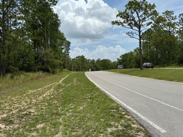 9391 N Stafford Dr, Citrus Springs, FL 34433 | MLS #O6385 | Compass