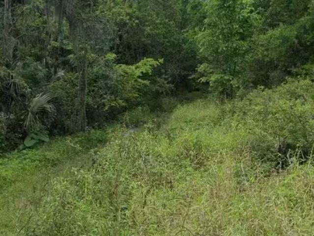 939 ESTELLE AVENUE, BRANDON, FL 33511 652195397