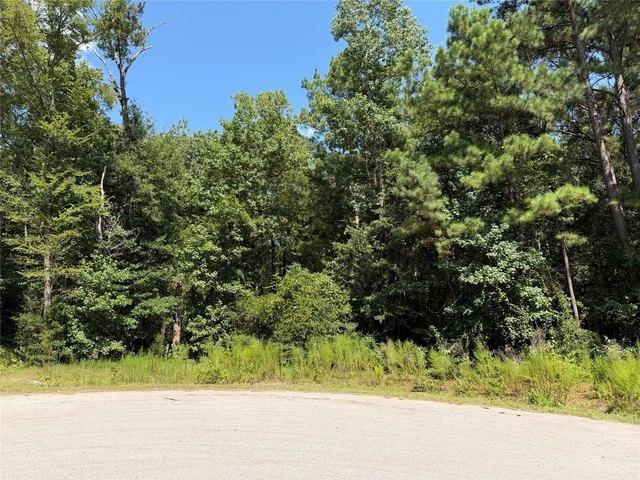 97 22 19 Granite Rd, Huntsville, TX 77340
