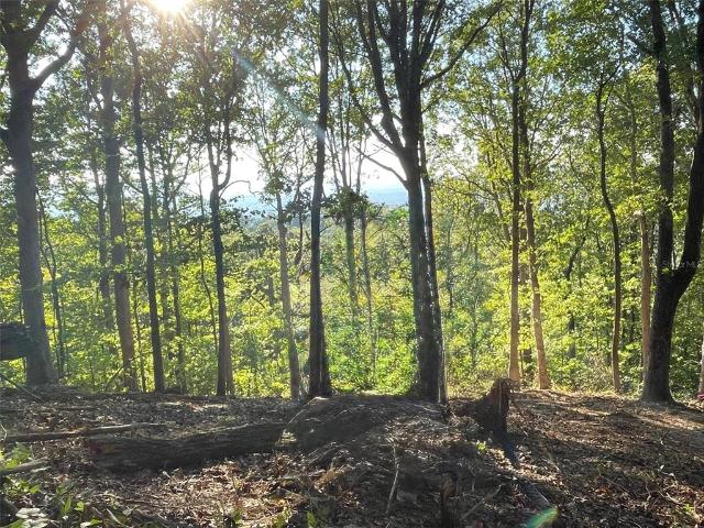 97 wilderness creek way