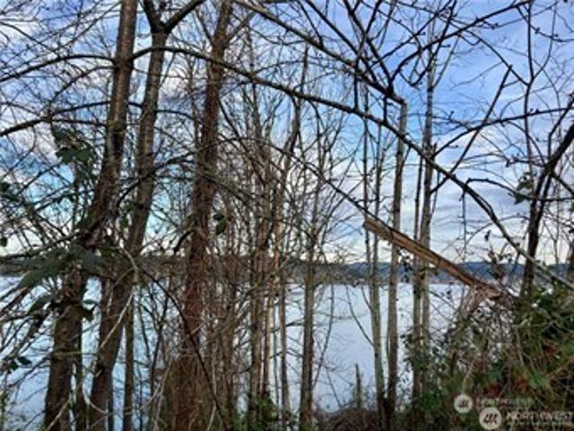 97 Arrowsmith Ave S, Seattle, WA 98118 | MLS #2448
