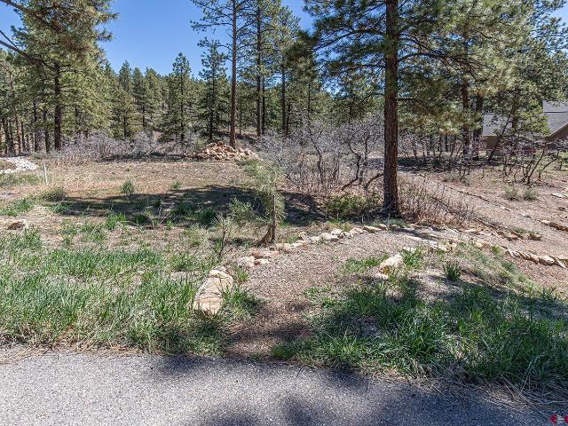 97 Canyon Pines Pl, Durango, CO 81301 | MLS #833329 | Compass