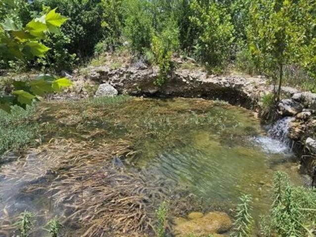 97 E Browns Dr, Kerrville, TX 78028
