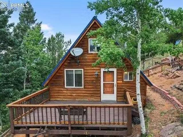 97 Last Dollar Drive, Cripple Creek, CO 80813 650450181