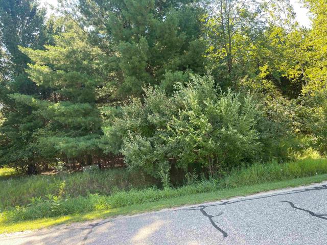97 salisbury drive