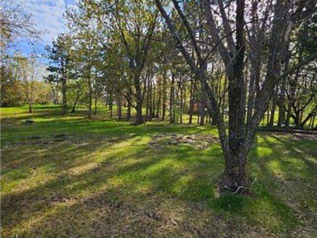 97XX Ireland Ave NW, Annandale, MN 55302