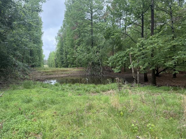 9402 Brooksie Thompson Rd