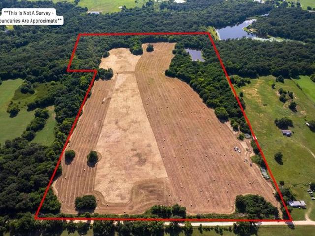 940 E County Road 1106, Sulphur Springs, TX 75482