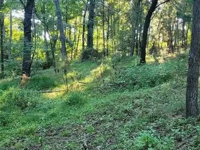 940 Essic Rd, Ball Ground, GA 30107 MLS 7423601