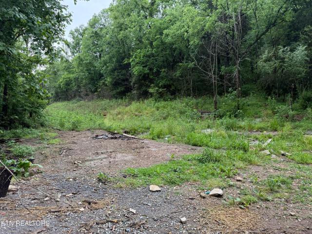940 Riley Creek Rd