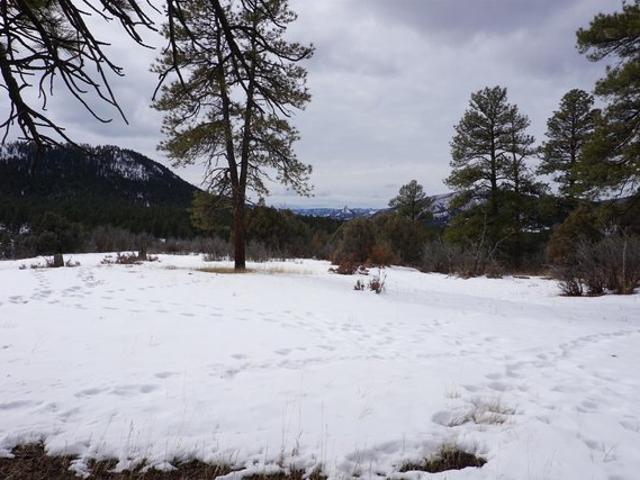 941 975 and 1027 Hurt Dr, Pagosa Springs, CO 81147