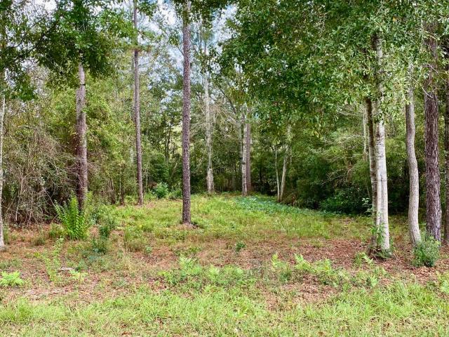 941 W Lakeshore Dr, Carriere, MS 39426 | MLS #4096 | Compass