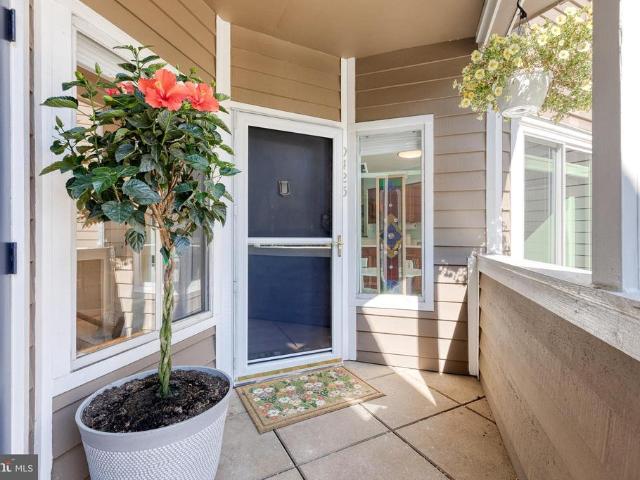 9425 Hickory Limb # 105