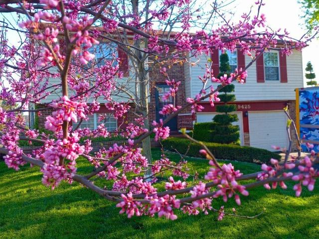9425 Pepperidge Dr, Indianapolis, IN 46235 | MLS #22089