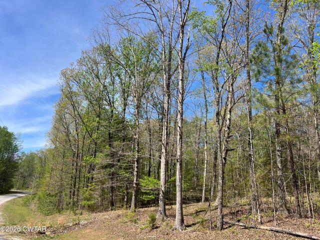 942 Excalibur Trail, Cedar Grove, TN 38321 | MLS #2601 | Compass