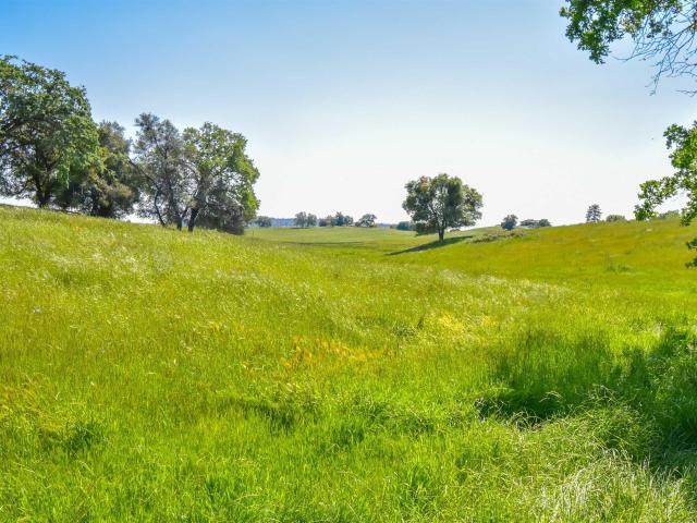 9436 Fraguero Rd, Sonora, CA 95370 | MLS #41121