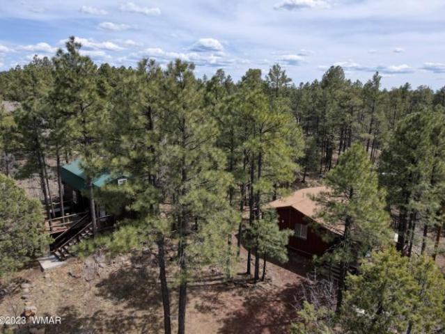 943 Backwoods Trail, Lakeside, AZ 85929