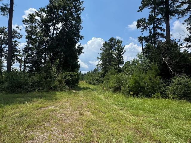 943 Rd Livingston, TX 77351 | MLS #59452