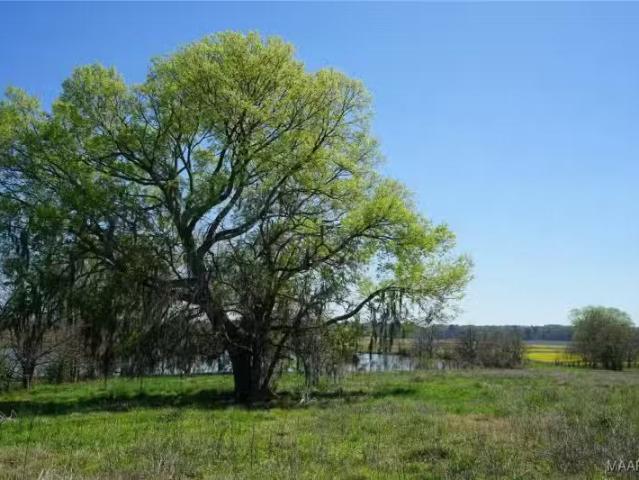 9445 WOODLEY ROAD, RAMER, AL 36069