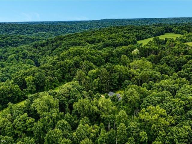 9446 Sperry Rd, Kirtland Hills, OH 44060