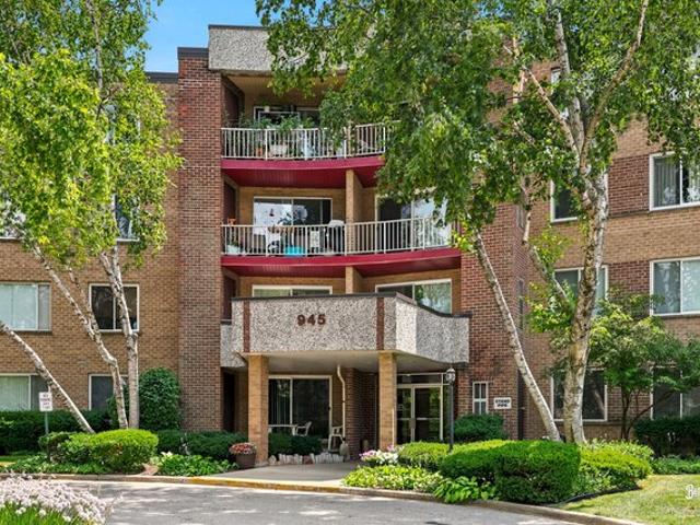 945 E Kenilworth Ave Unit 219, Palatine, IL 60074