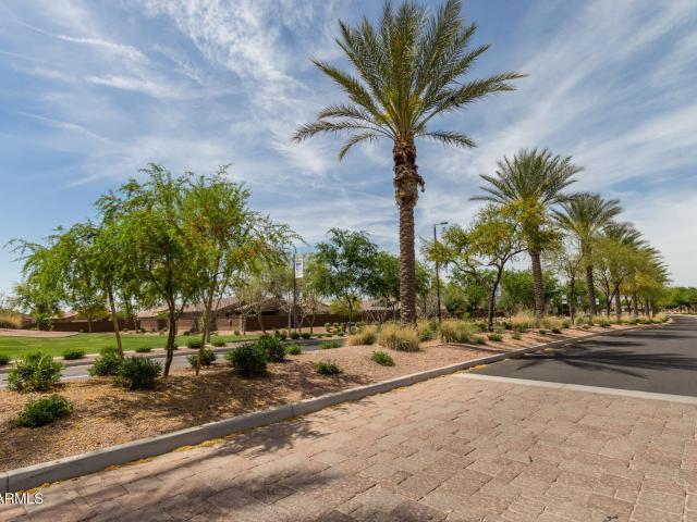 945 Empress Tree Ave, San Tan Valley, AZ 85140 | MLS #7014