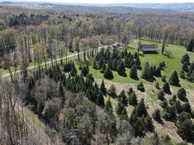 9467 Reagan Rd, Clymer, NY 14724