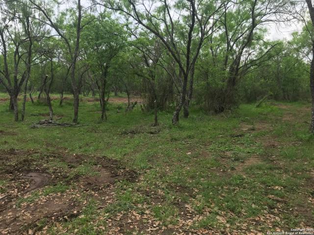 946 County Road 2863, Bigfoot, TX 78005 | MLS #1844 | Compass