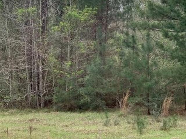 9470 Us 96 S Highway 96 S, Kirbyville, TX 75956