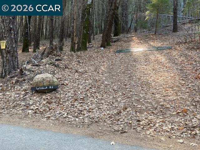 9471 Wildcat Rd, Kelseyville, CA 95451 | MLS #41122